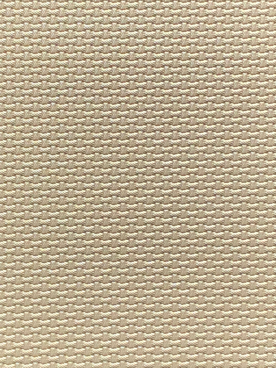 CARBONO PERLA – Alonso Mercader